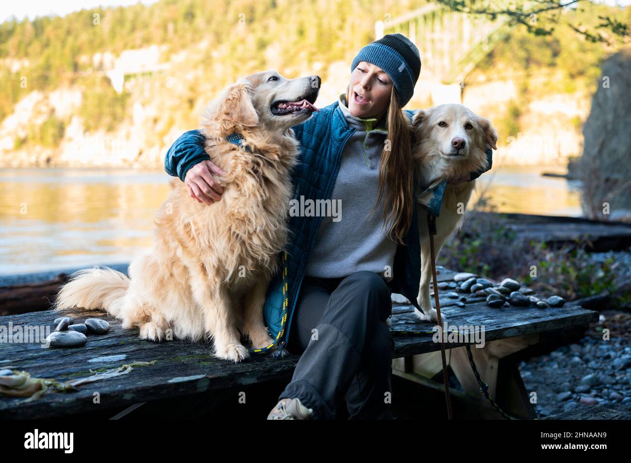 Happy female sitting on picnic table with dogs Stock Photo - Alamy