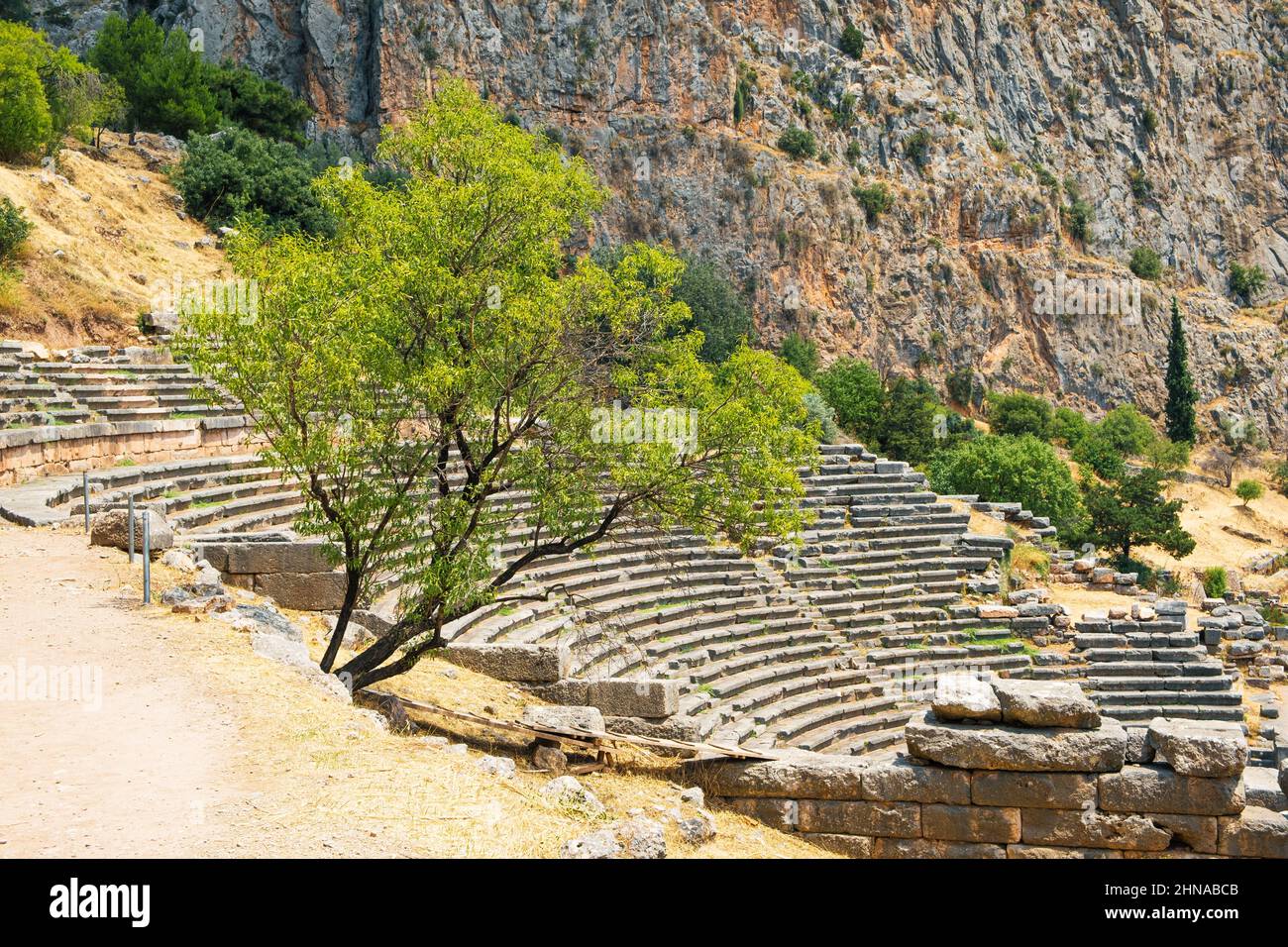 Olive tree against backdrop of ancient amphitheater in Delphi ...