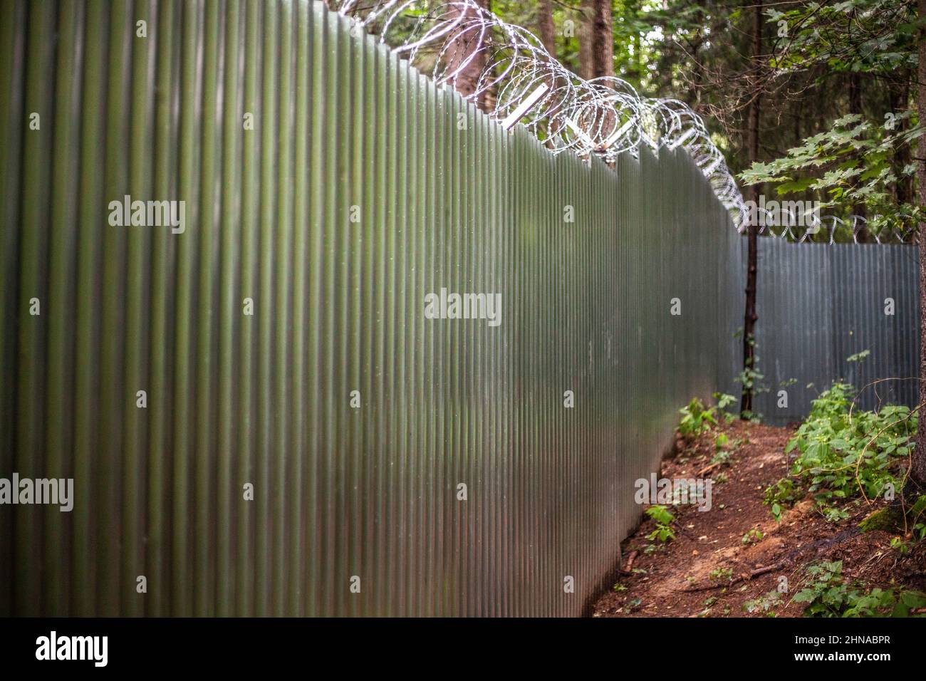 Barbed wire fence. Fencing of territory Stock Photo - Alamy