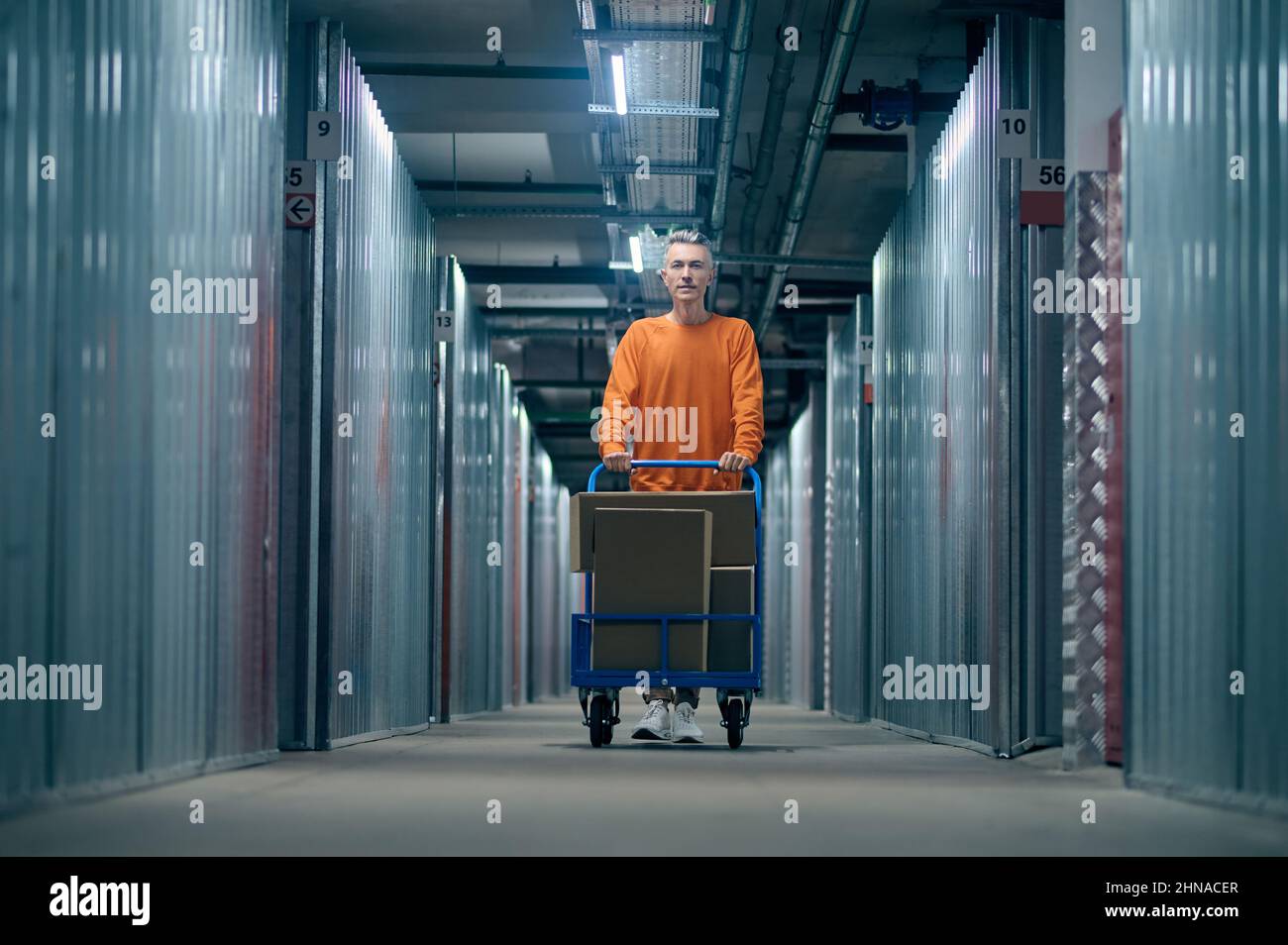 Storehouse employee pushing ahead the trolley with goods Stock Photo ...