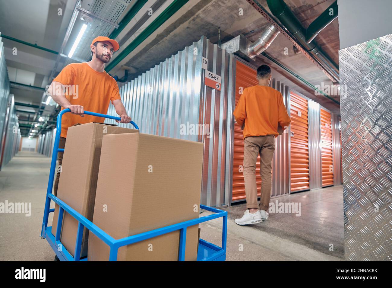Order pickers preparing boxed goods for delivery Stock Photo - Alamy