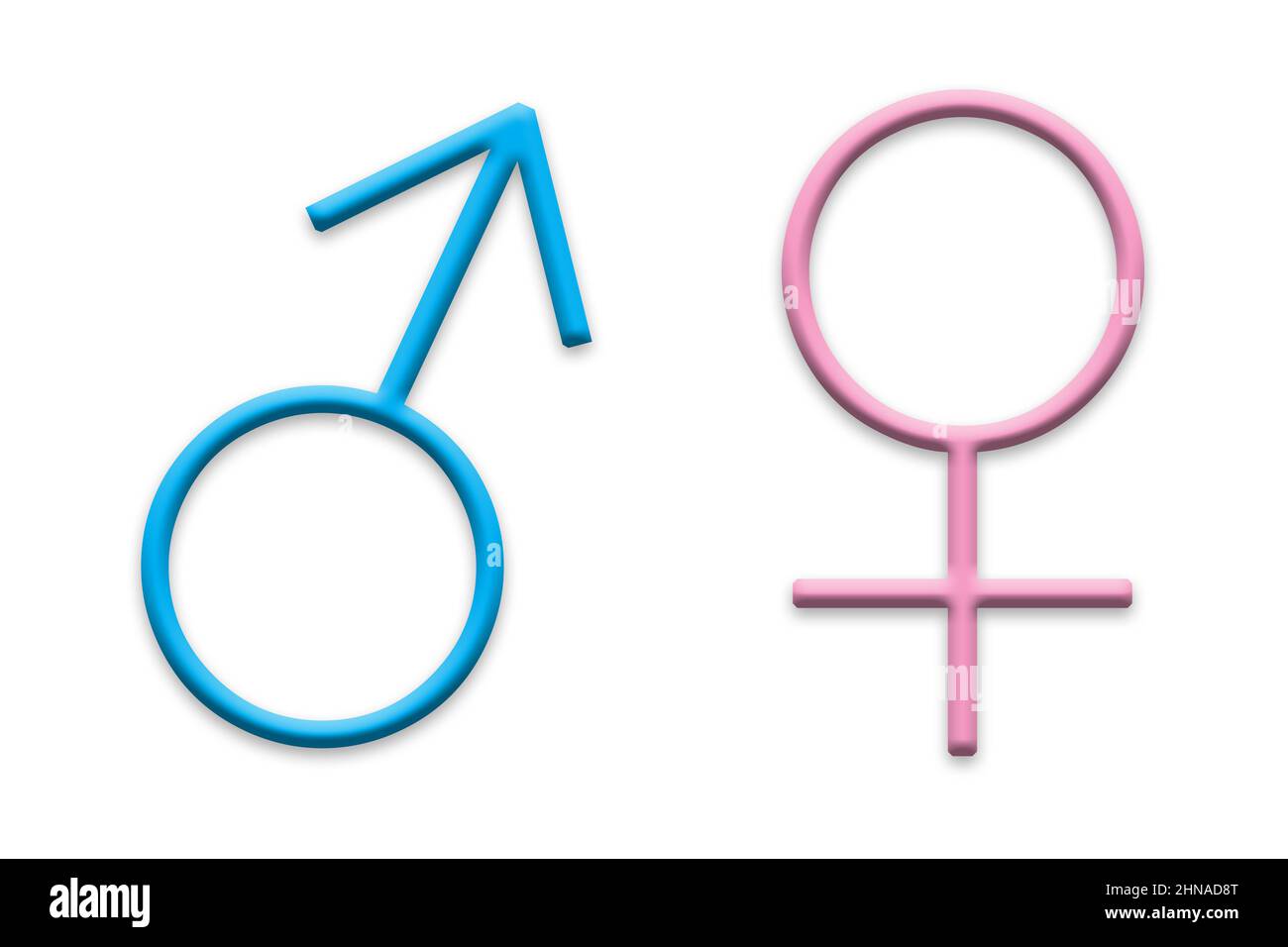 All Gender Symbols
