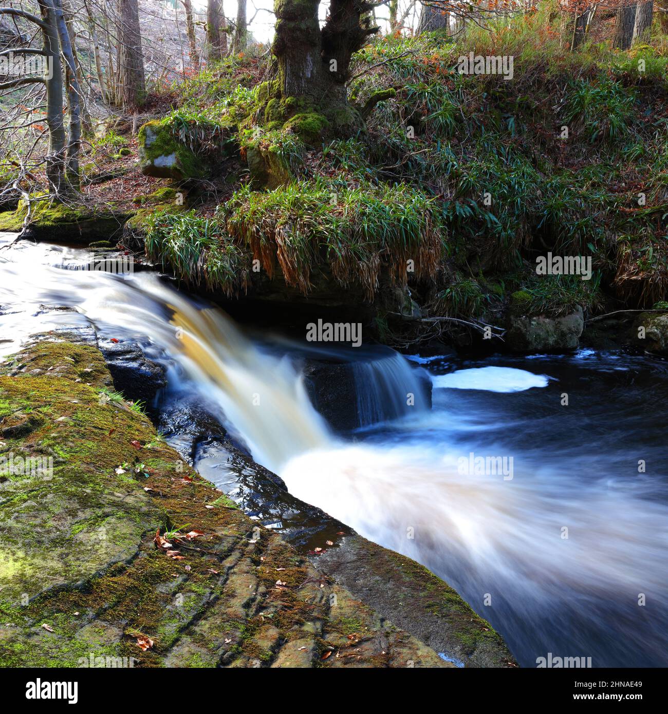 Small Waterfall in a Forest at Winter. Hamsterley Forest, County Durham ...