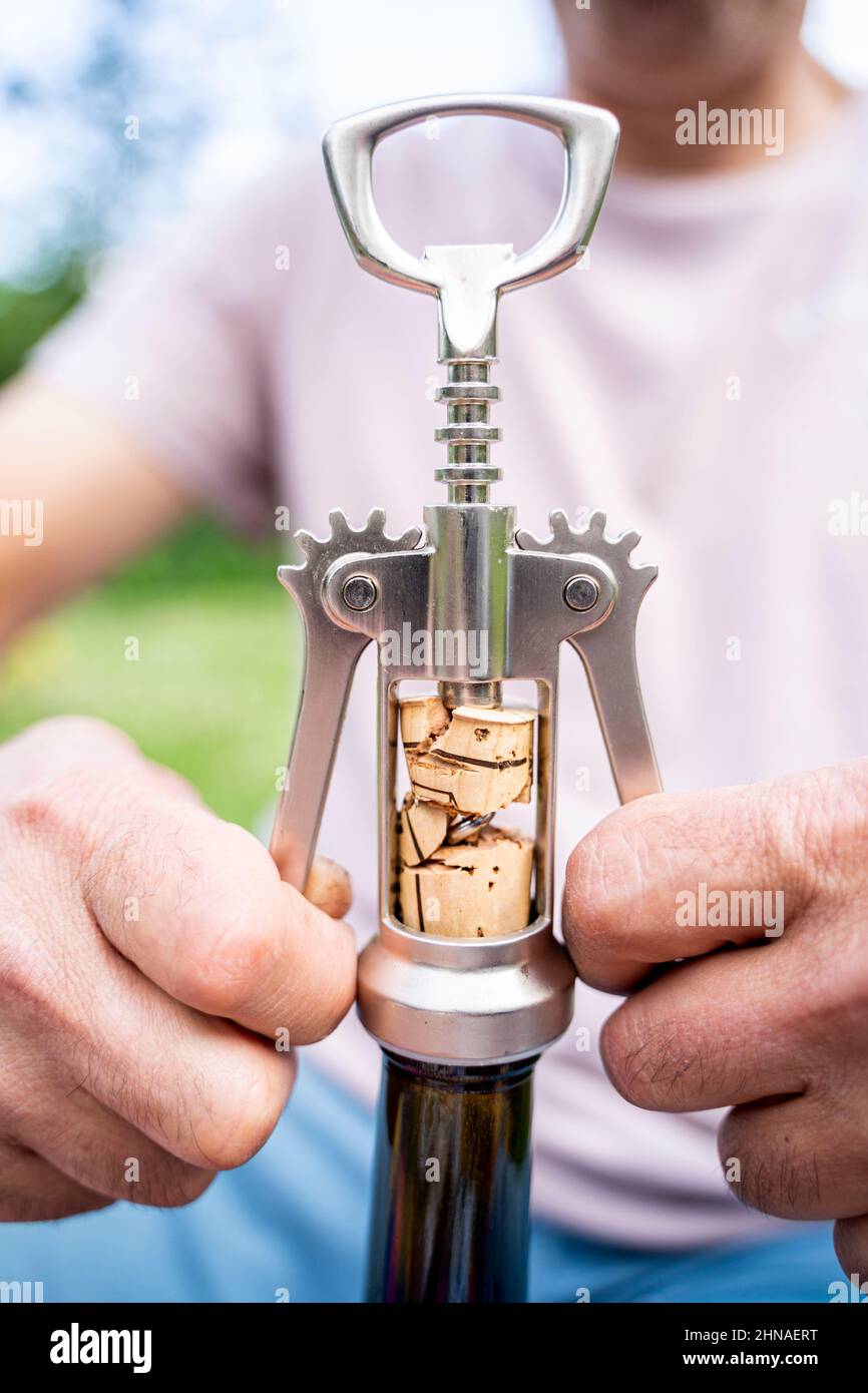 Young man in t-shirt opens wine bottle, takes cork out with corkscrew ...
