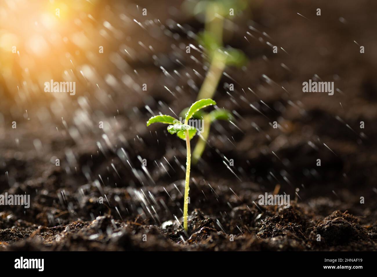 Agriculture startup hi-res stock photography and images - Alamy