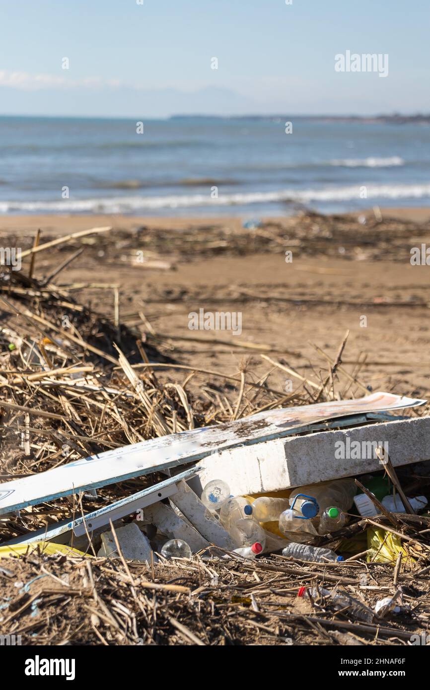 Various garbage on beach: plastic bottles, paper, broken branches and ...