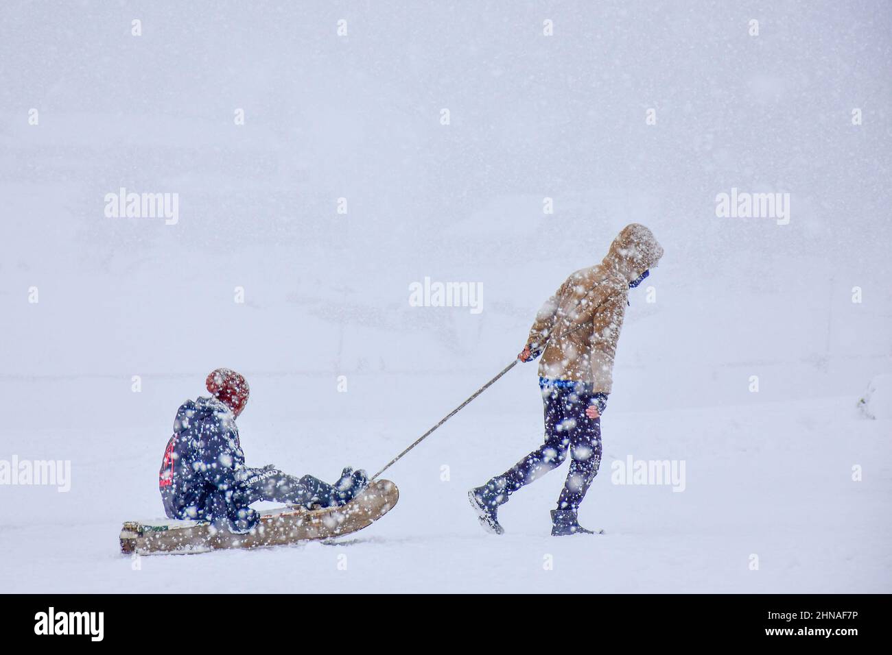 An Indian tourist is seen enjoying a sledge ride during a snowfall in ...