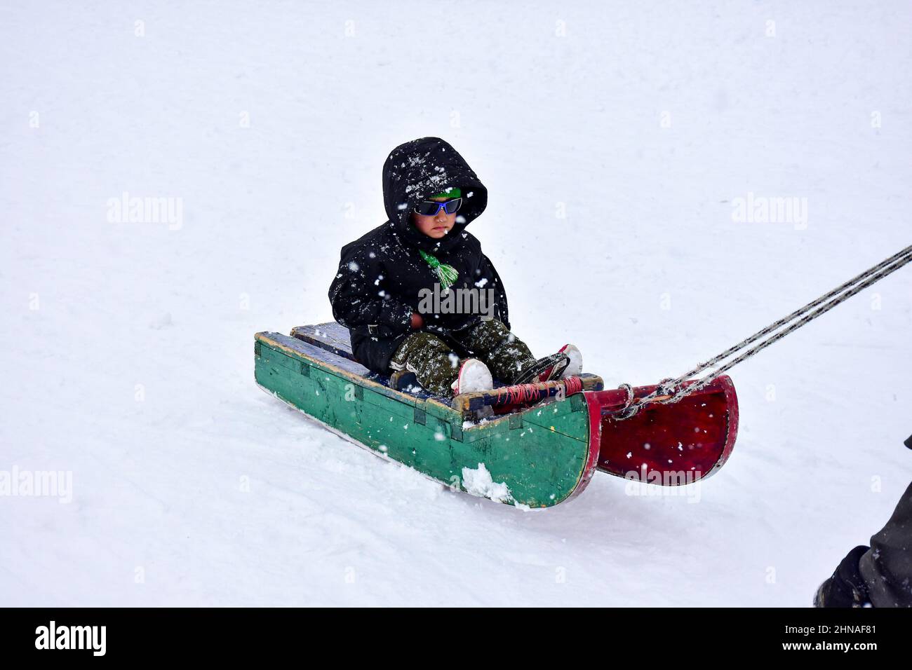 A child is seen enjoying a sledge ride during a snowfall in Gulmarg ...