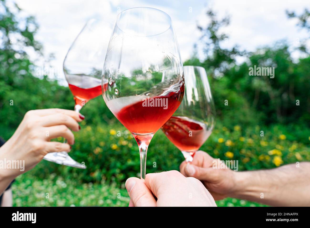 Three friends or family members toast and clink glasses with red wine ...