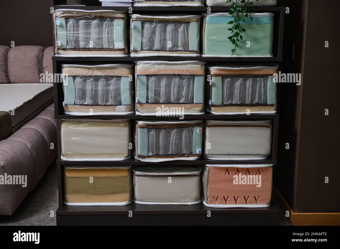 Samples of varieties of mattresses for a sleeping bed, on display for ...