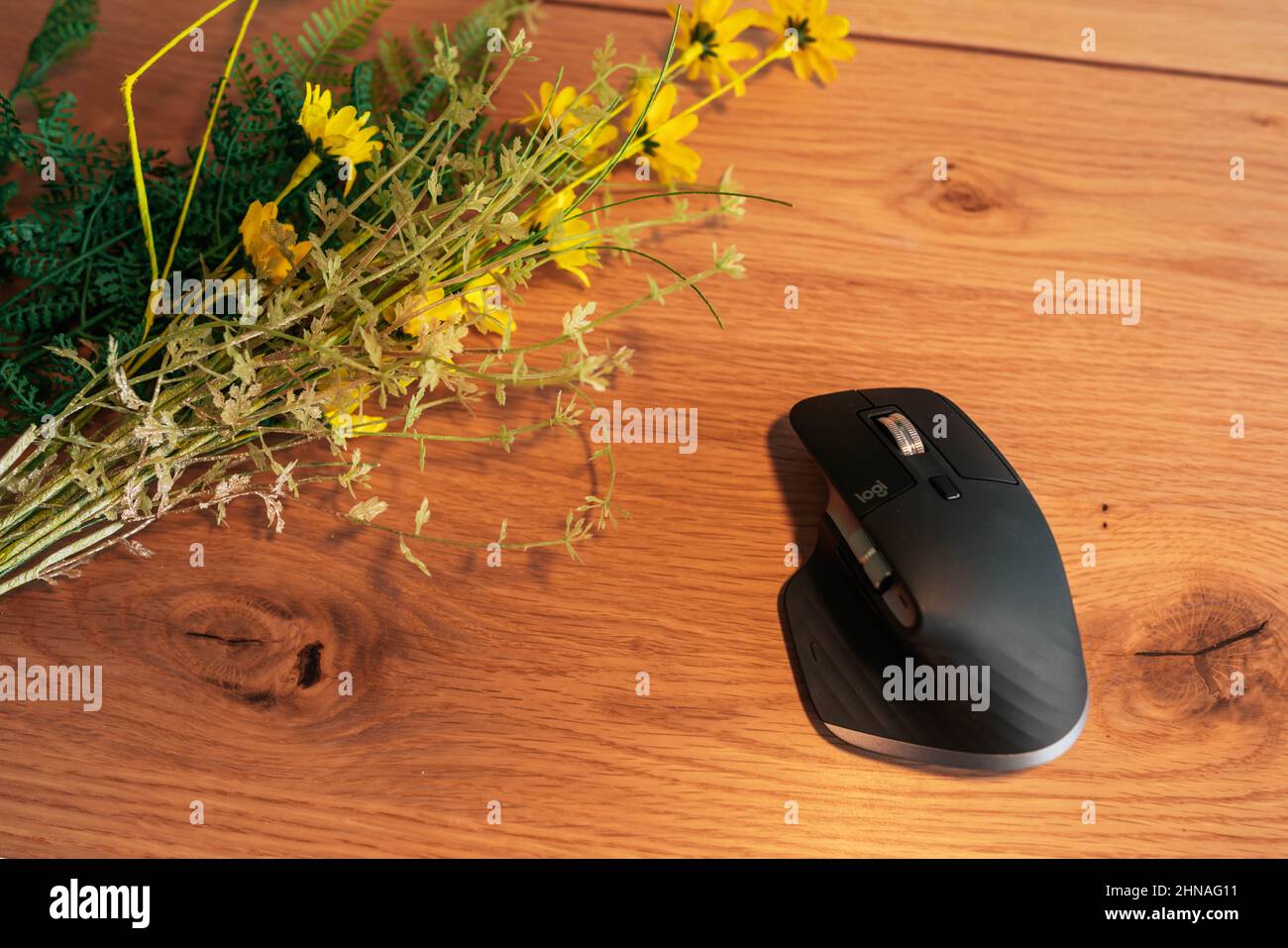 Logitech MX Master Mouse, professional computer mouse for editing ...