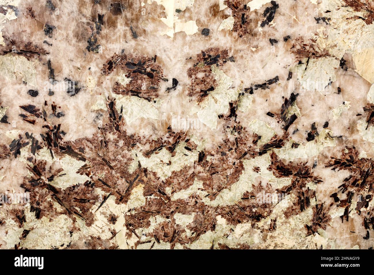 Marble texture of polished crystals of beige, brown marble with black ...