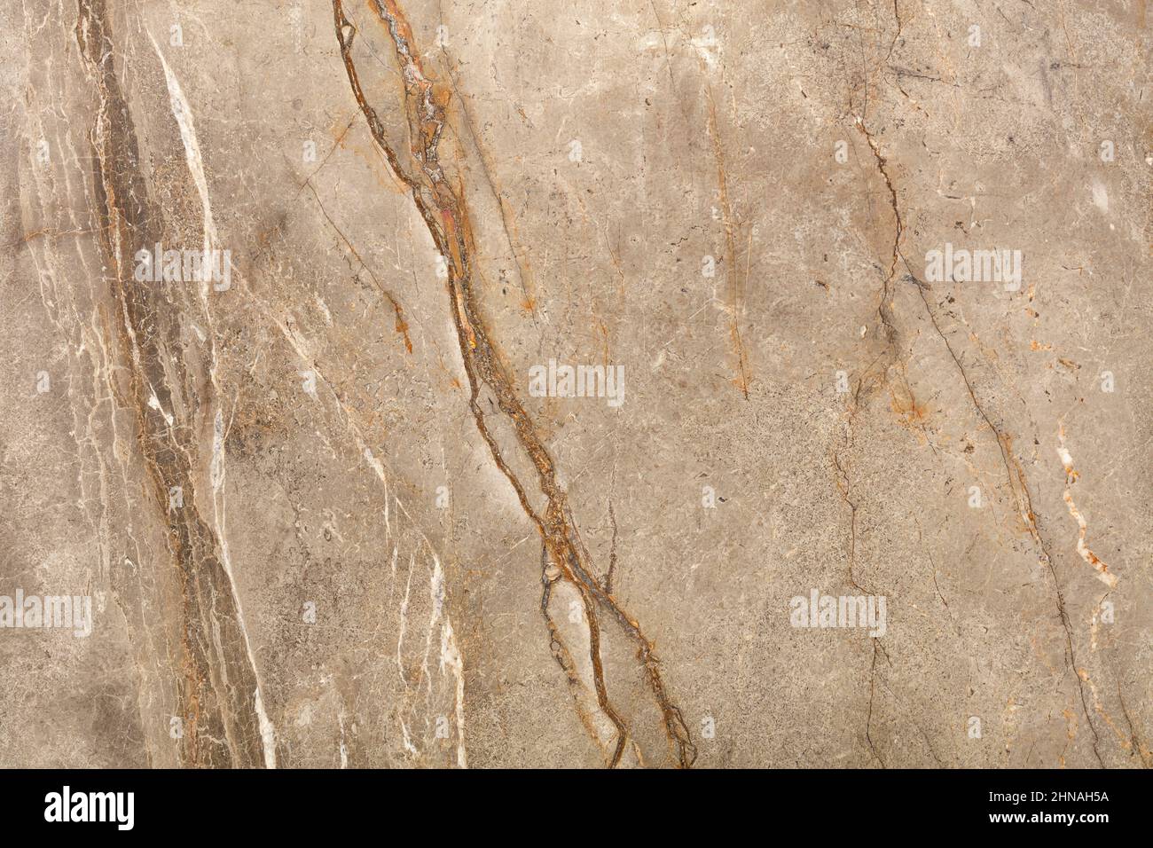 Homogeneous Tiles Texture