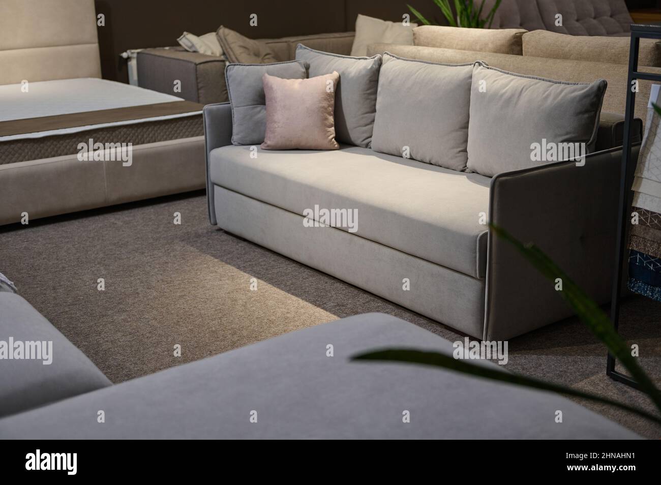 Exhibition of upholstered stylish comfortable light gray settee with ...