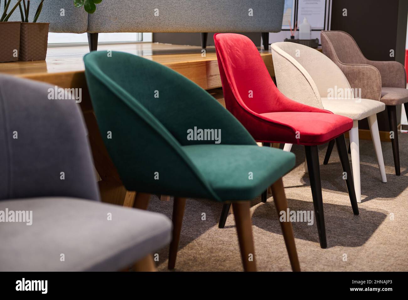 Chairs in salon of furniture. Showroom, exhibition hall of modern soft ...