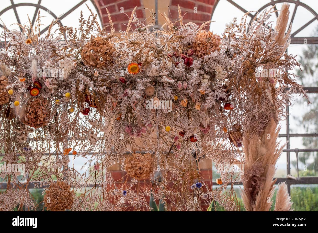 photo of dried flowers display Stock Photo - Alamy