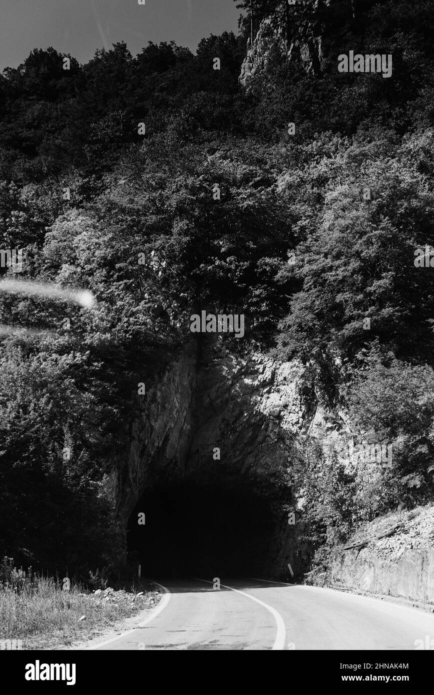 Small road in green Black and White Stock Photos & Images - Alamy