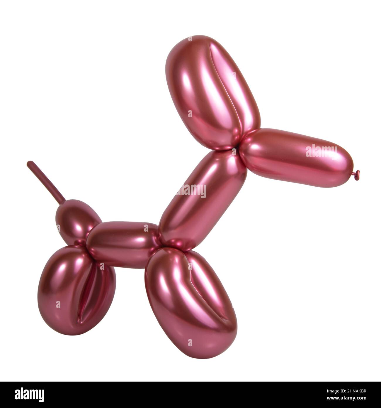 Pink bright balloon dog isolated on the white background Stock Photo ...