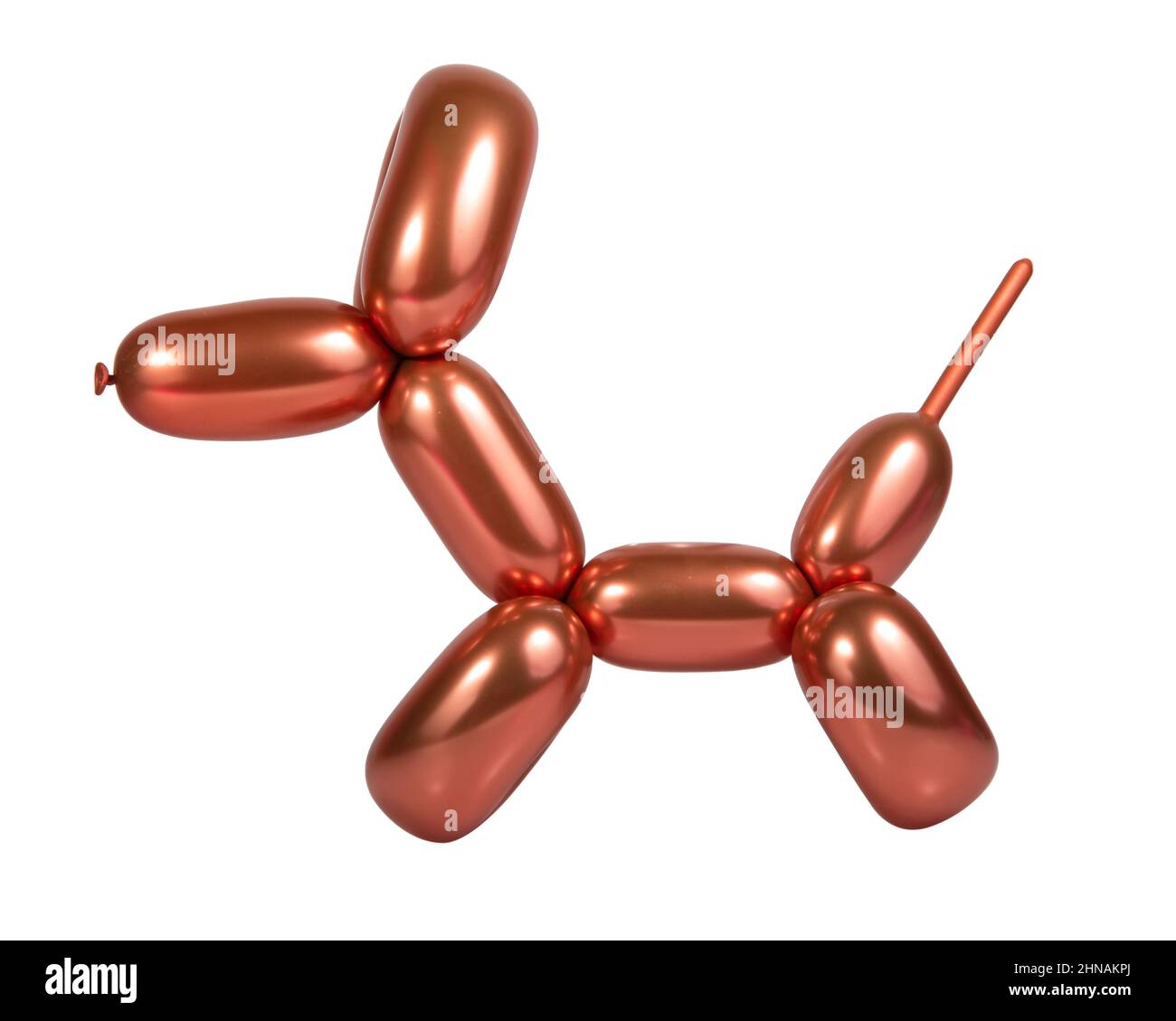 Bronze bright balloon dog isolated on the white background Stock Photo ...