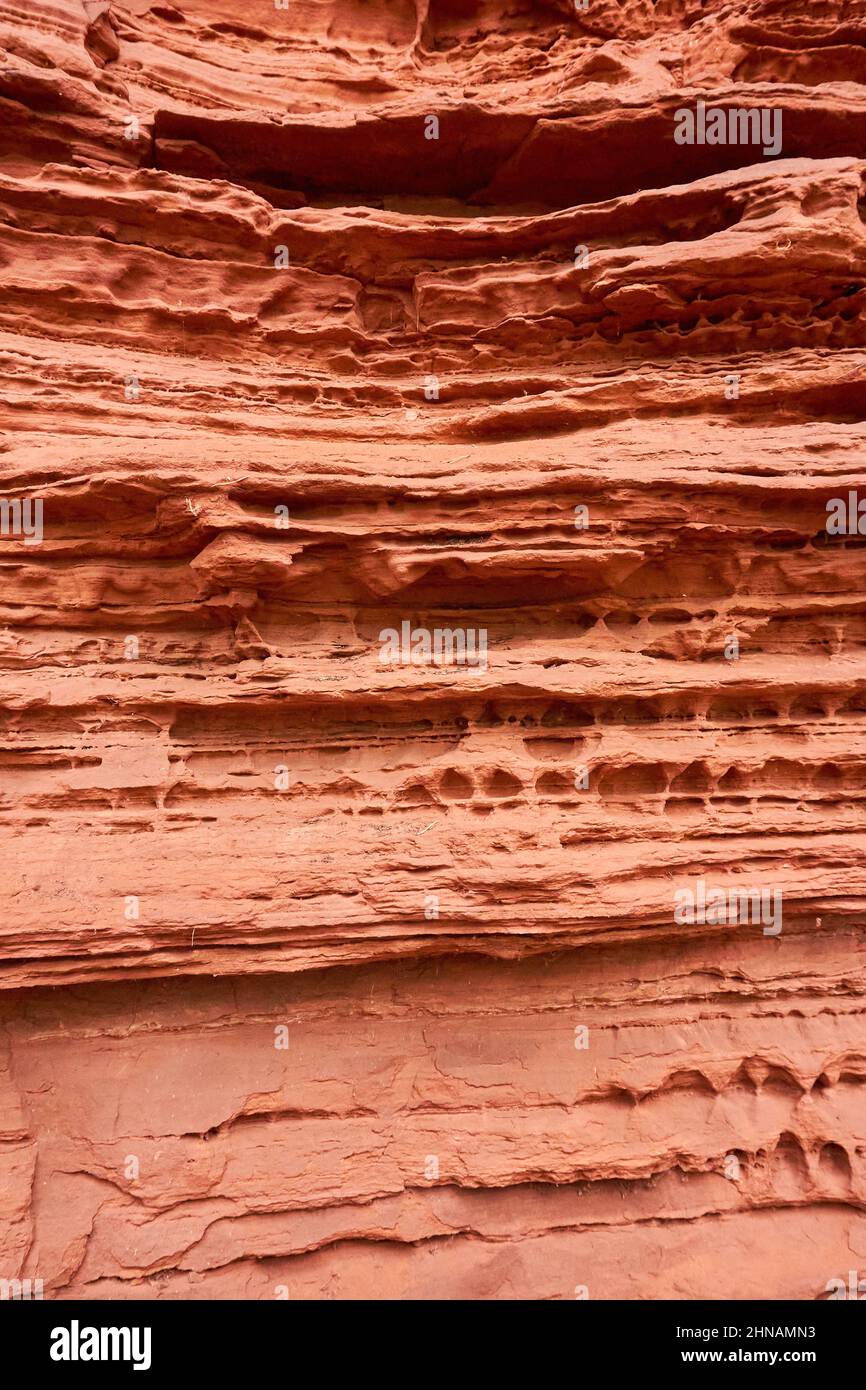 Desert Rocks Texture