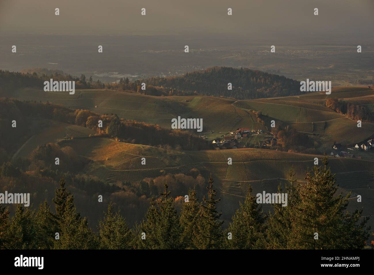 Beautiful view of green hills Stock Photo - Alamy