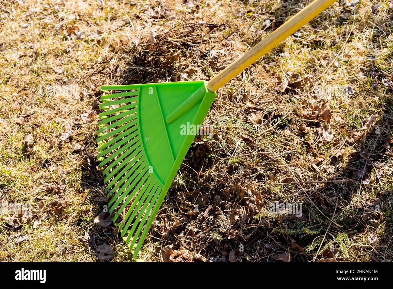 Seasonal raking of leaves in the garden. Concept of cleaning and caring ...