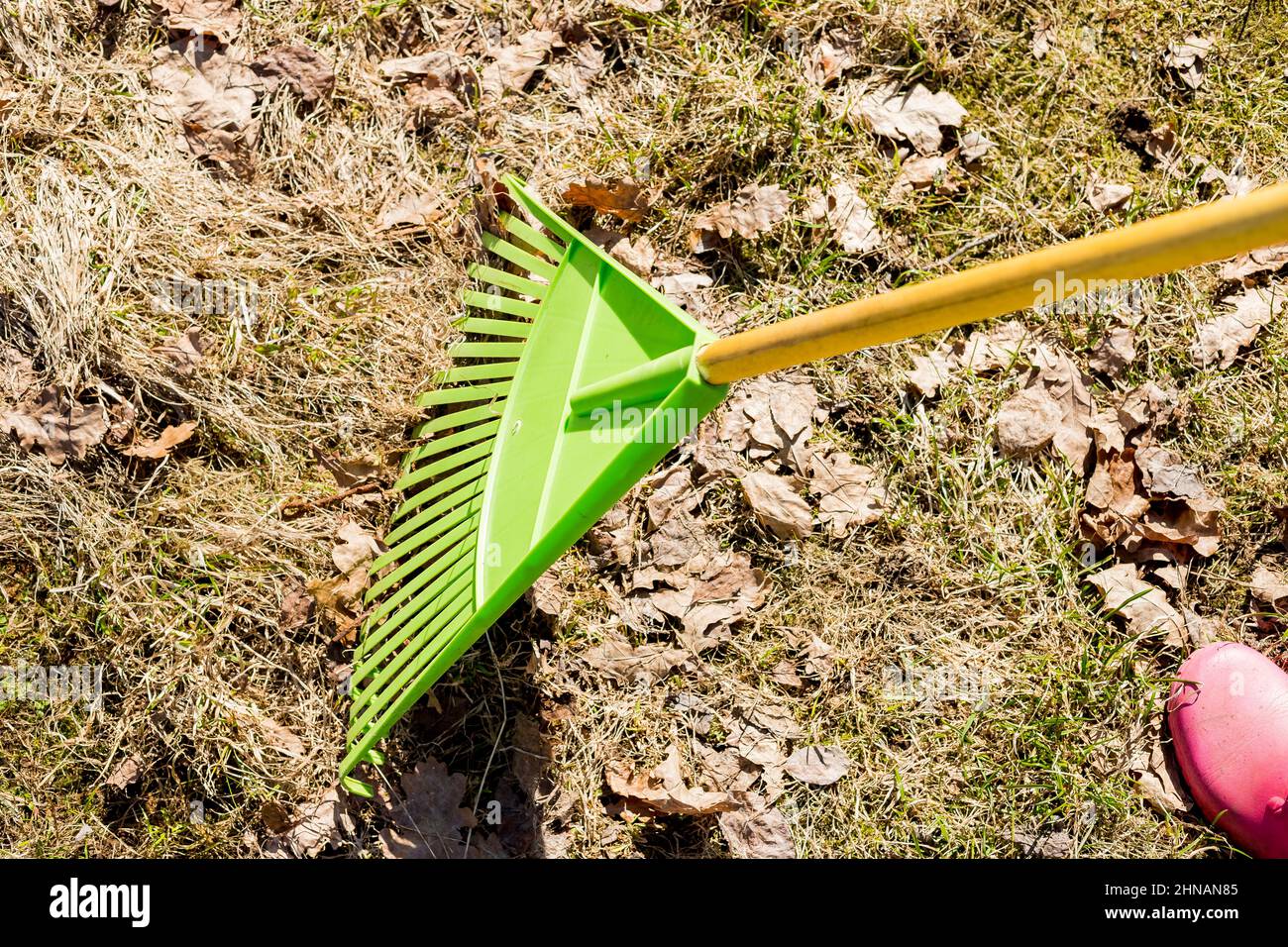 Seasonal raking of leaves in the garden. Concept of cleaning and caring ...