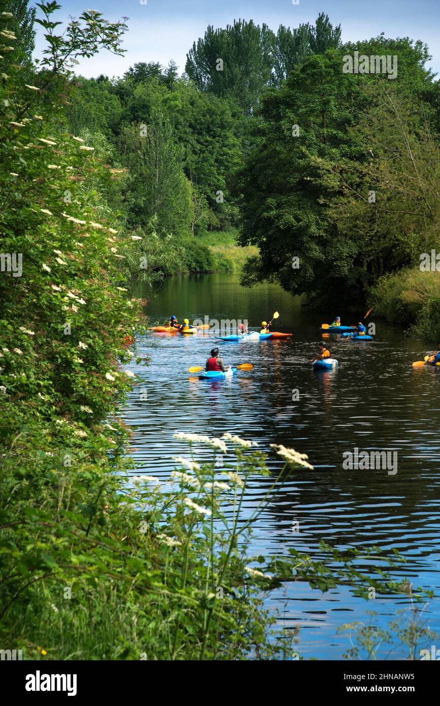 Canoes on the river Lagan at Shaws Bridge in Belfast, Northern Ireland ...