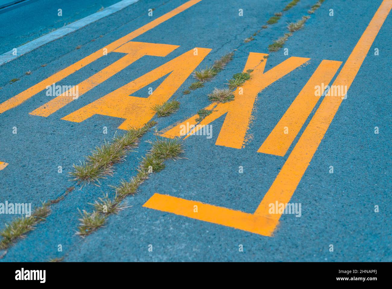 Yellow taxi sign stations on the street Stock Photo - Alamy