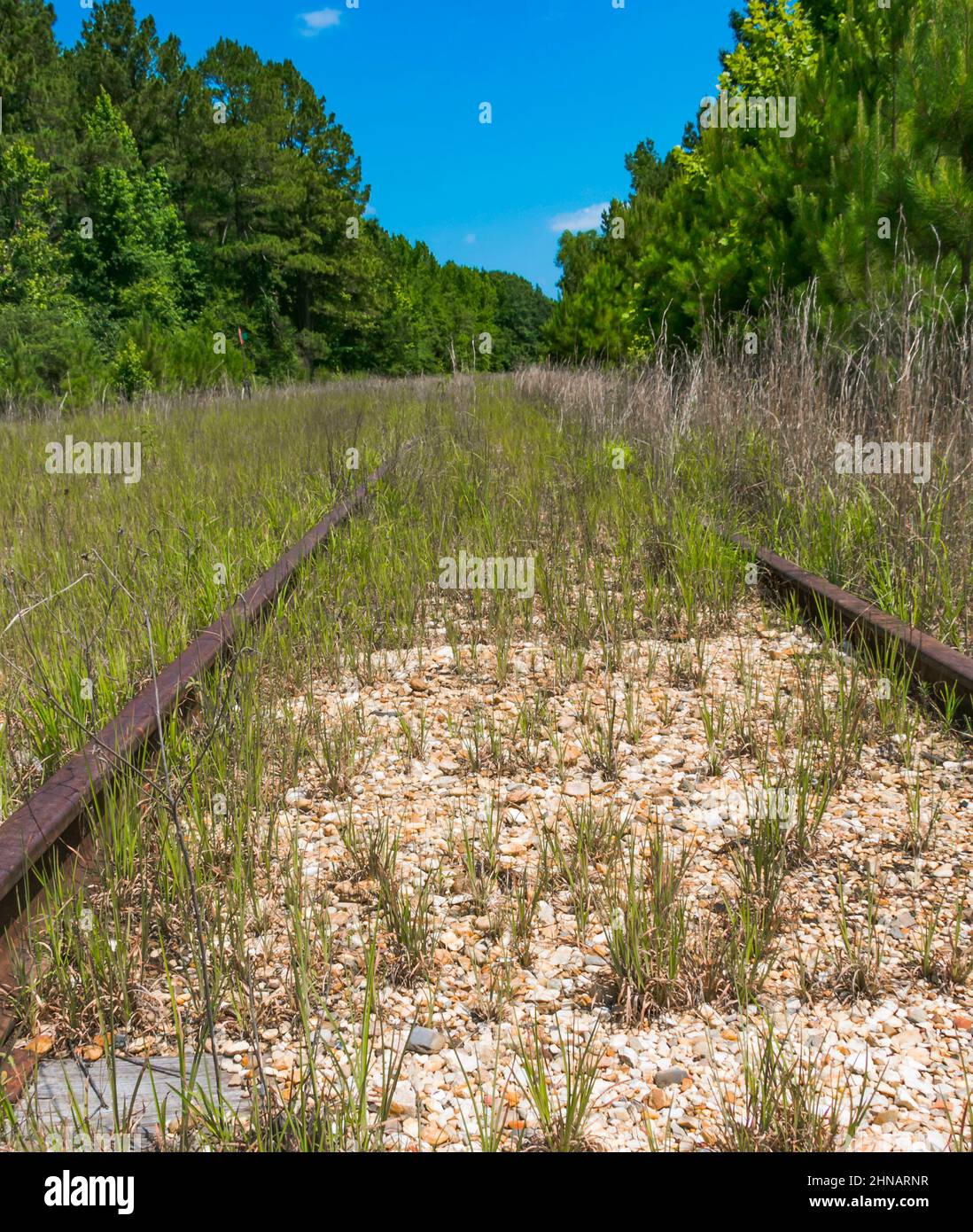Abandoned Rail Tracks (1 Stock Photo - Alamy