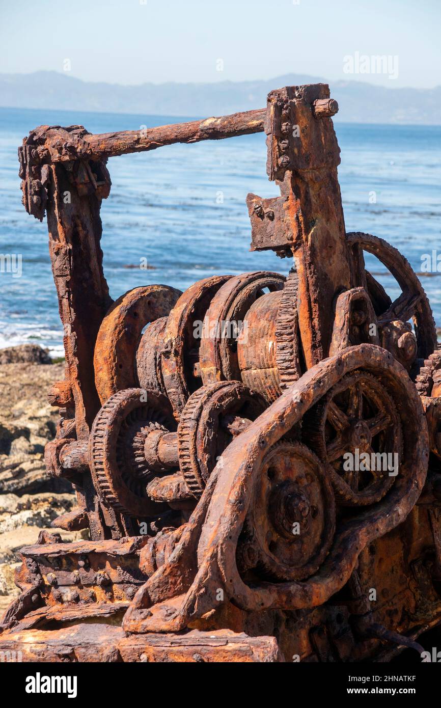 Dominator man hi-res stock photography and images - Alamy