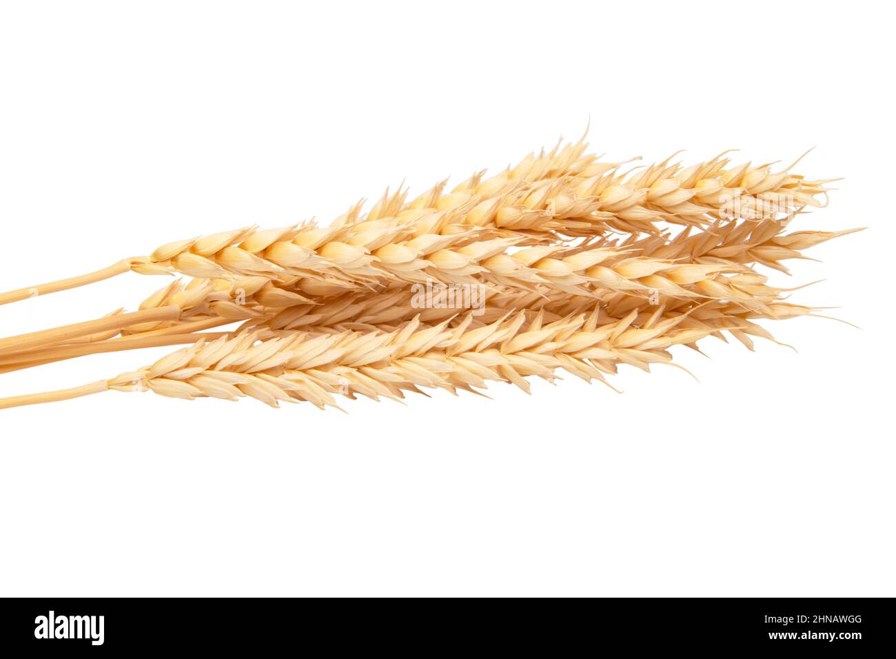 Dried grain wheat isolated on the white background Stock Photo - Alamy