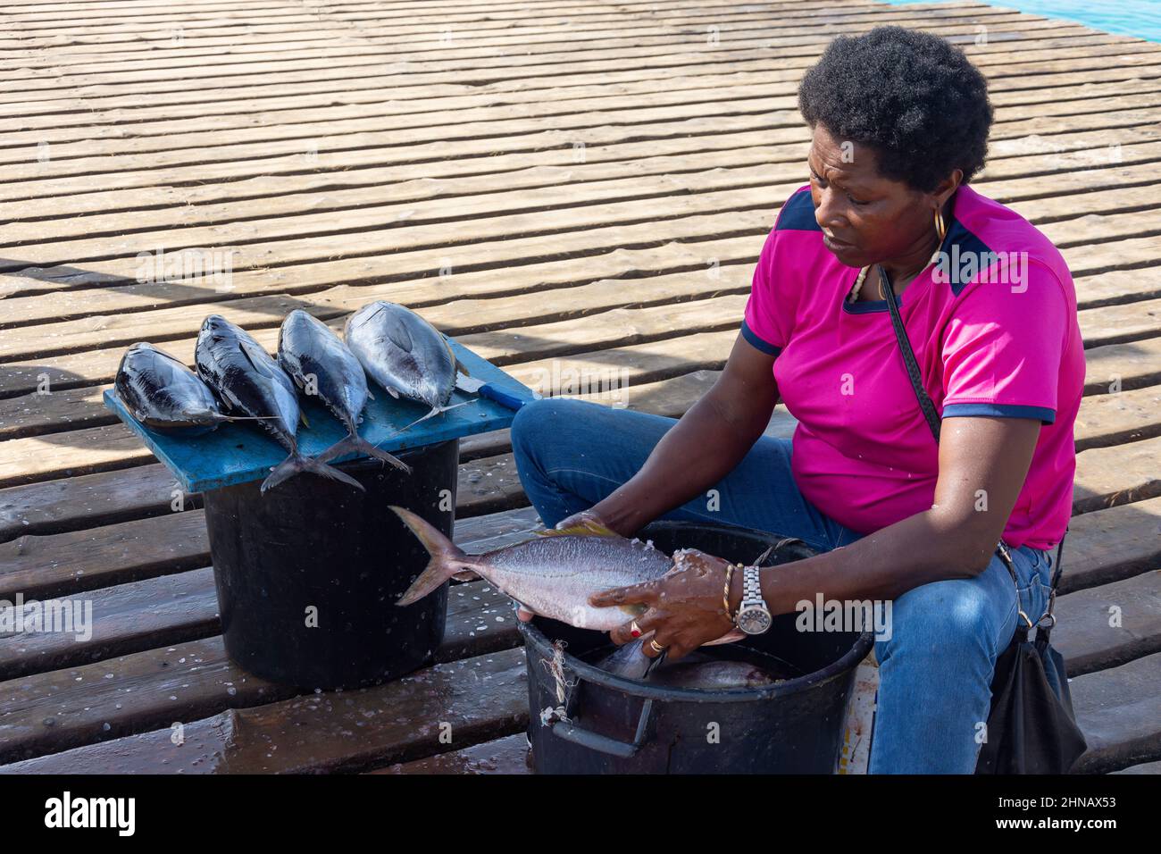 Woman filleting fish pontao santa maria fishing wharf beach beac hi-res ...