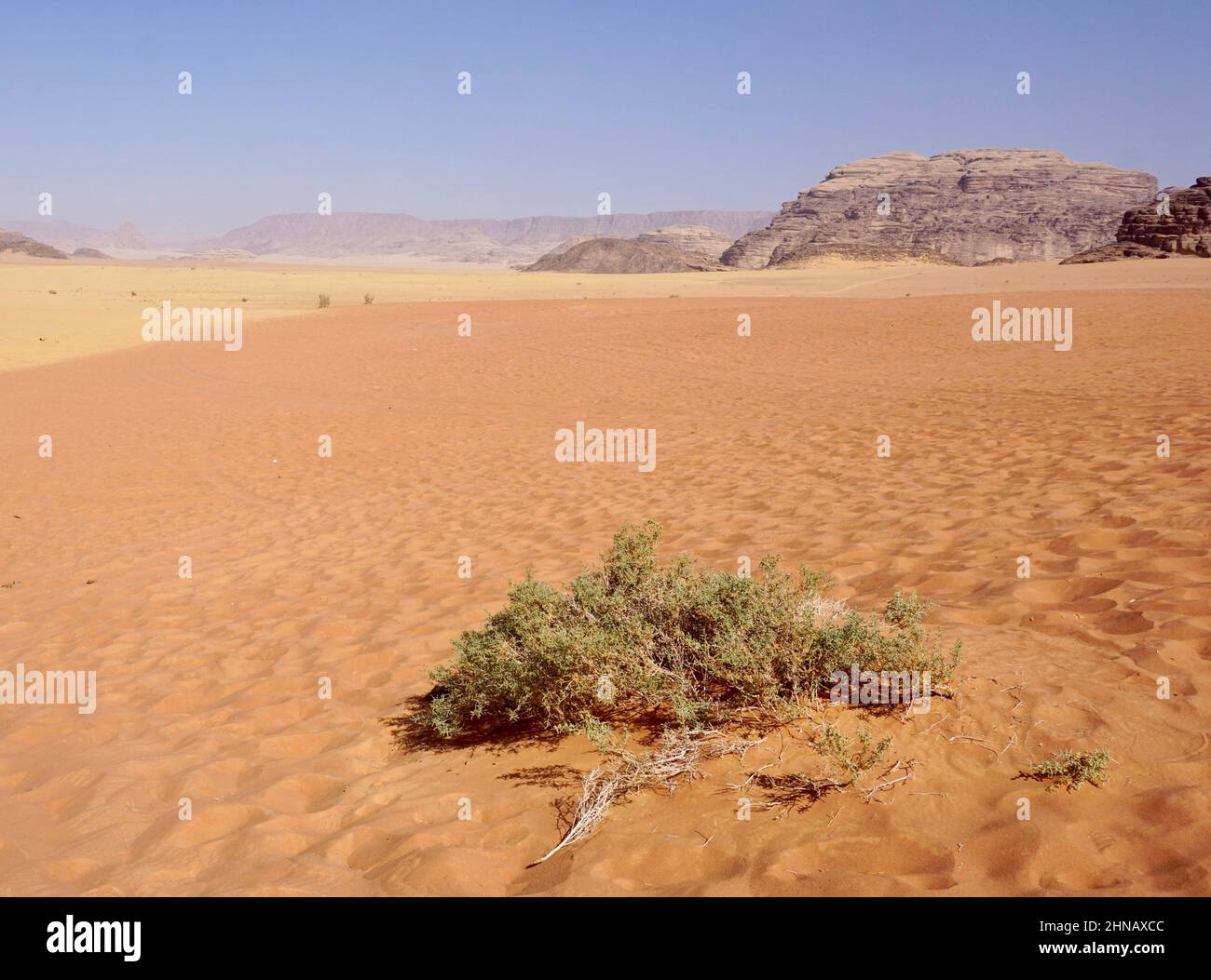 Jordanie hi-res stock photography and images - Alamy