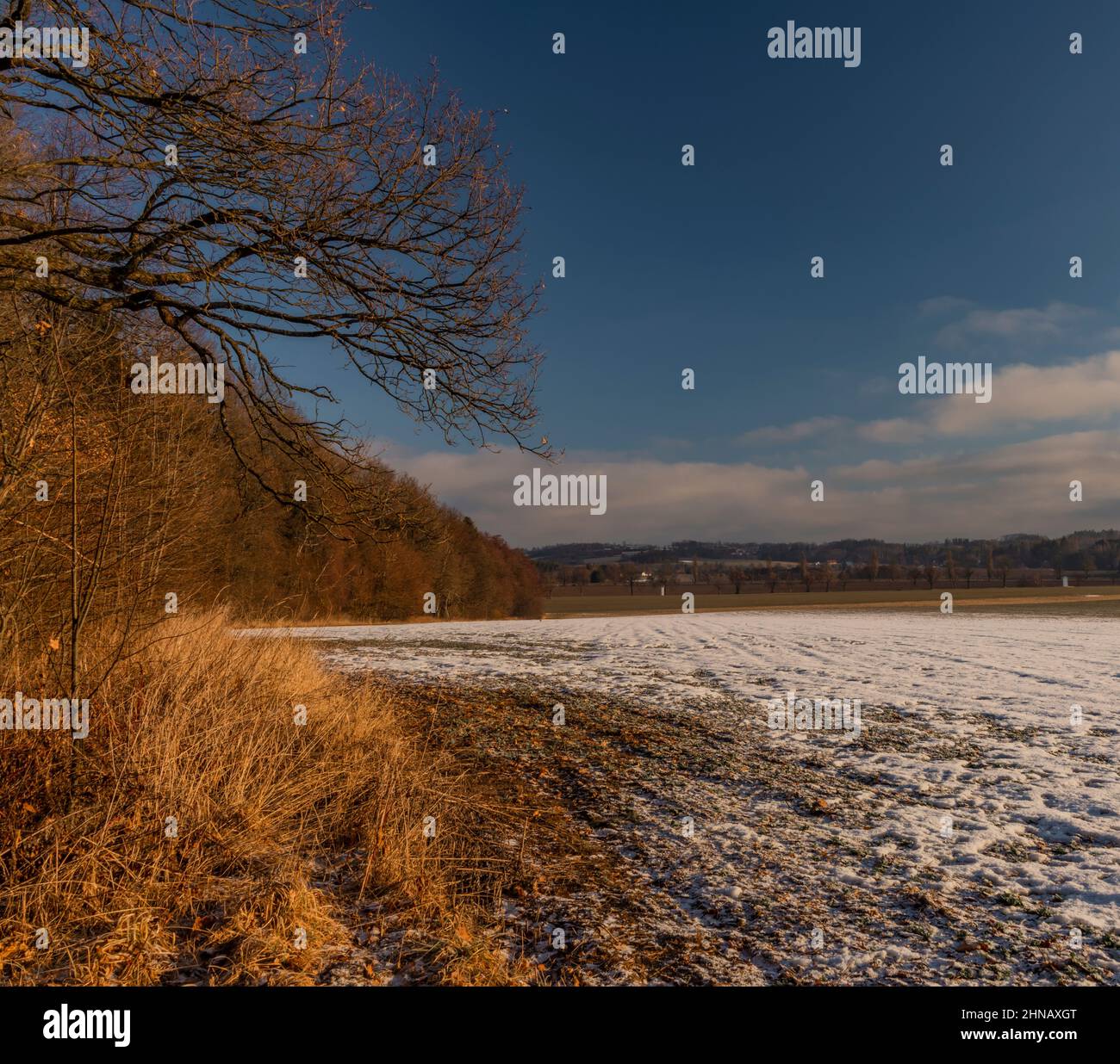 Field and meadow near Telc town in winter frosty snowy morning Stock ...