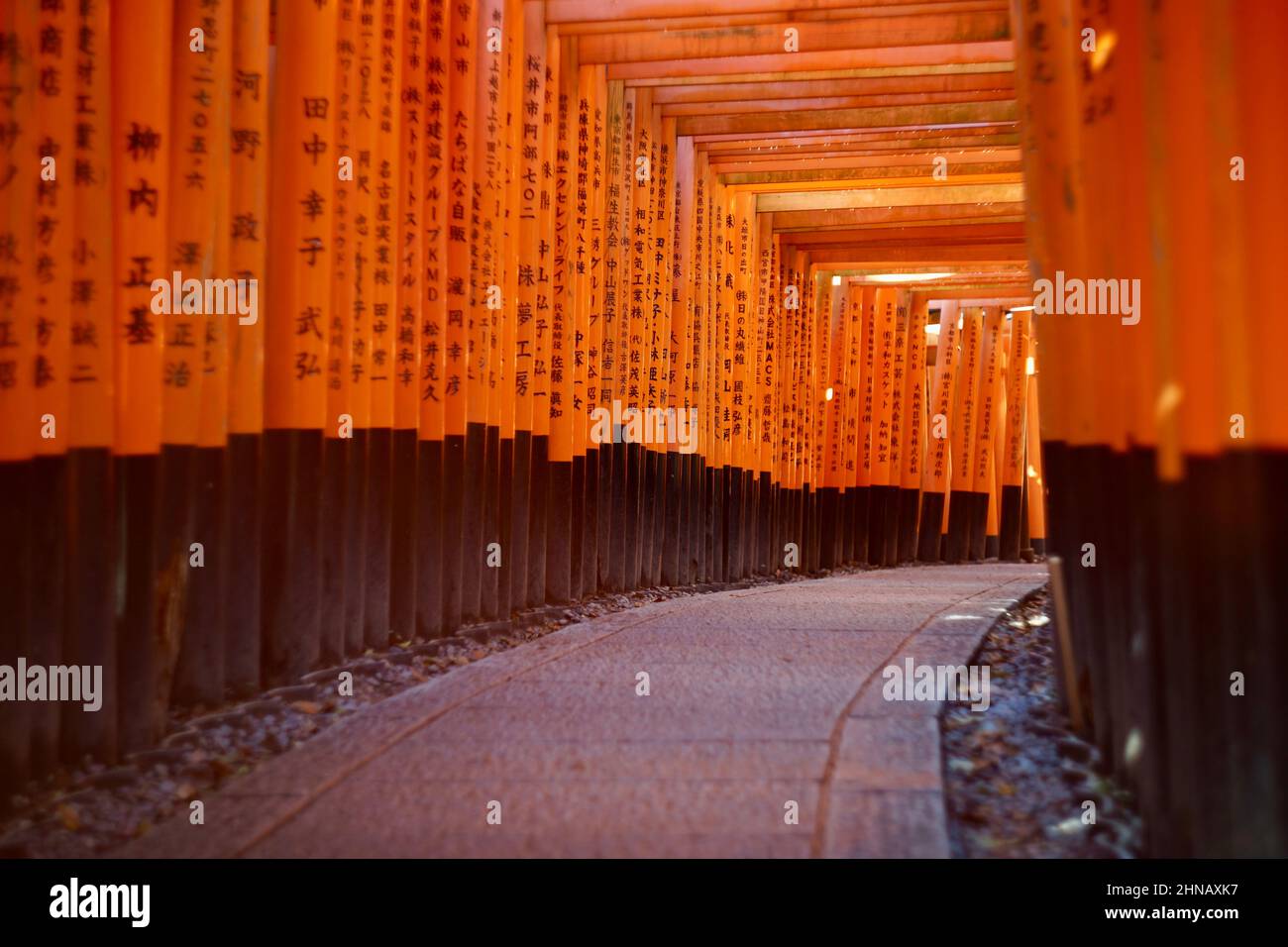 Tempio torii hi-res stock photography and images - Alamy