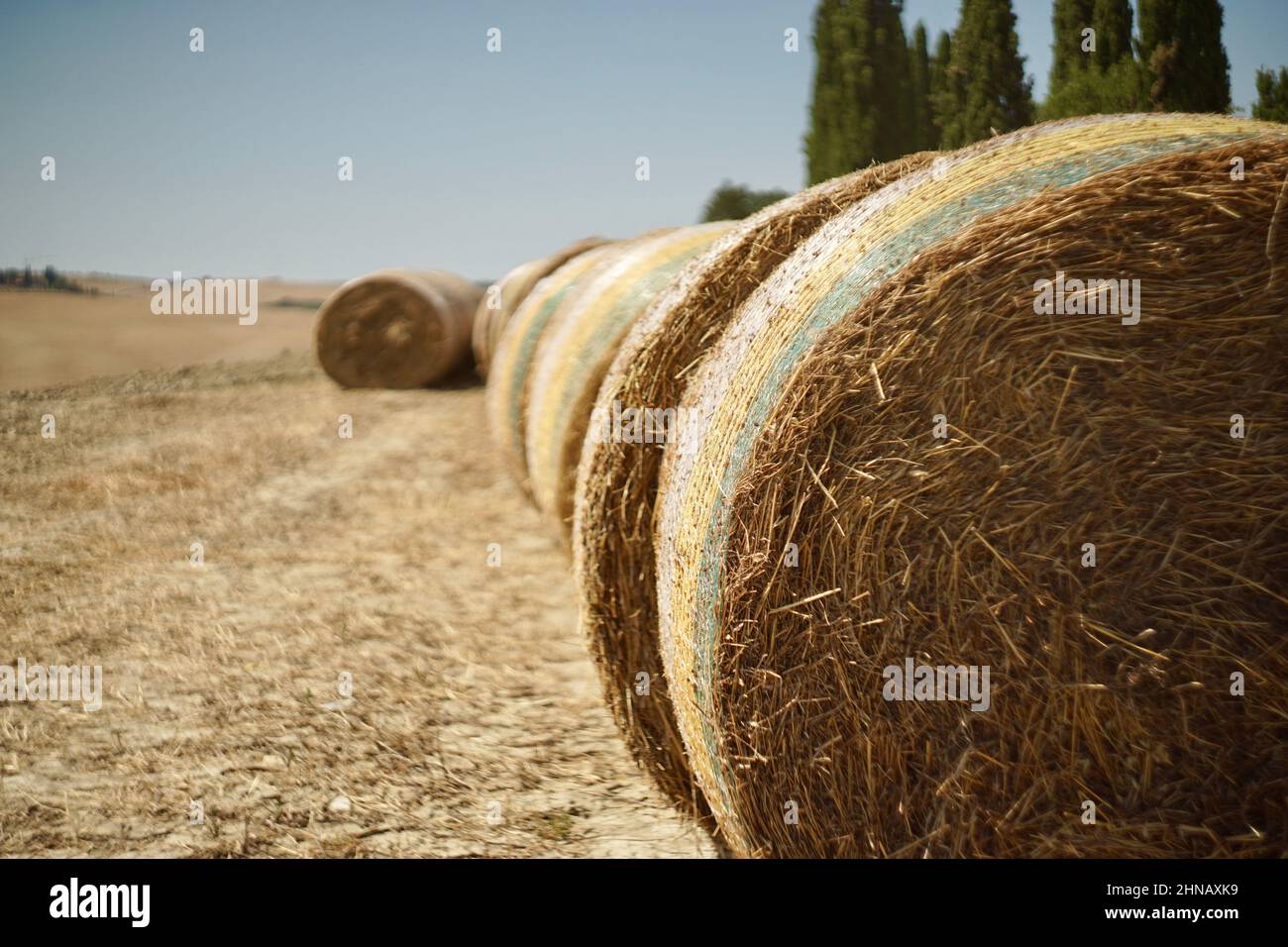 Campagna italiana hi-res stock photography and images - Alamy
