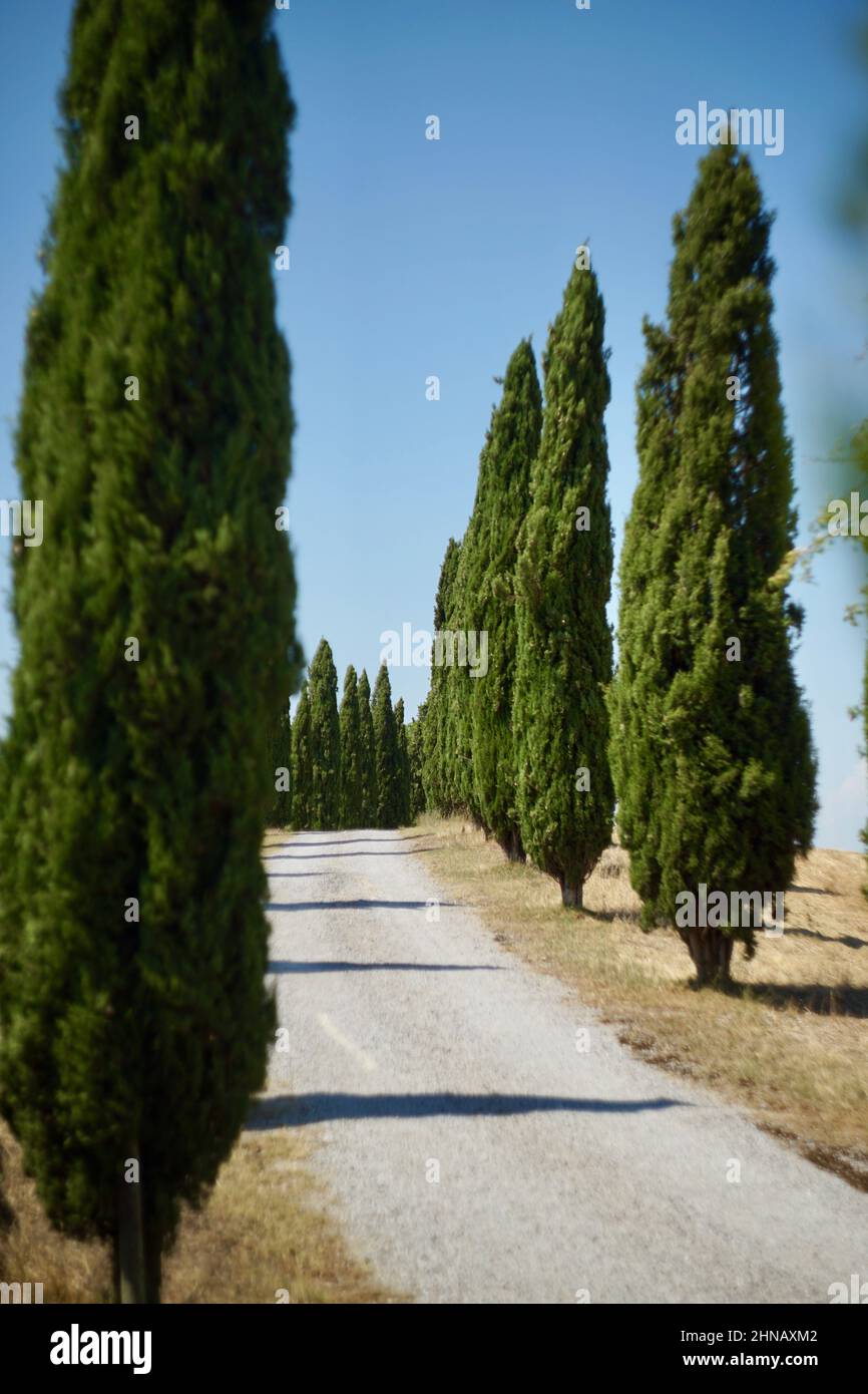 Campi toscani hi-res stock photography and images - Alamy