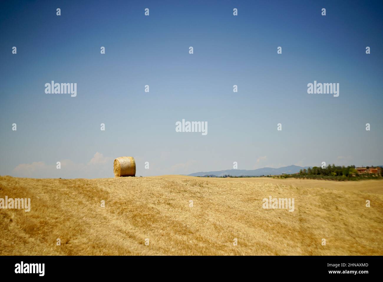 Grano di cereali hi-res stock photography and images - Alamy