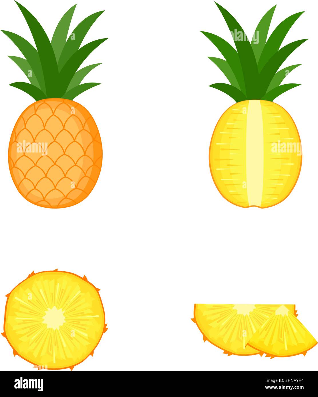 Pineapple, whole fruit, half and slices, vector illustration Stock ...