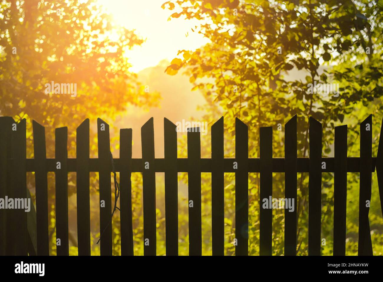 Sun shining through wooden fence Stock Photo - Alamy