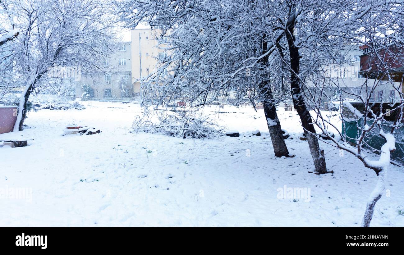 Beautiful cold snowy day in the city hi-res stock photography and ...