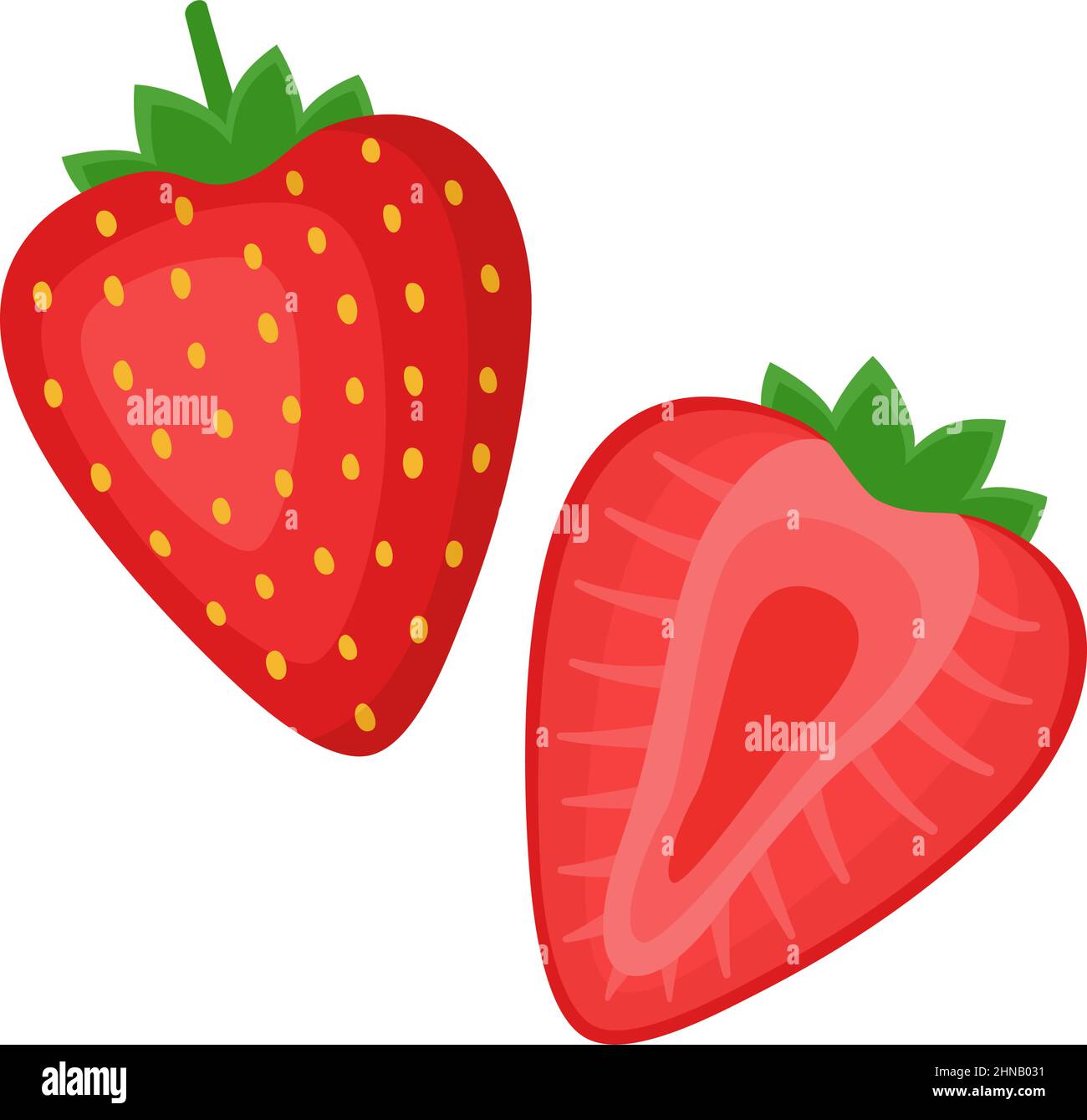 Strawberry, whole berry and half, vector illustration Stock Vector ...