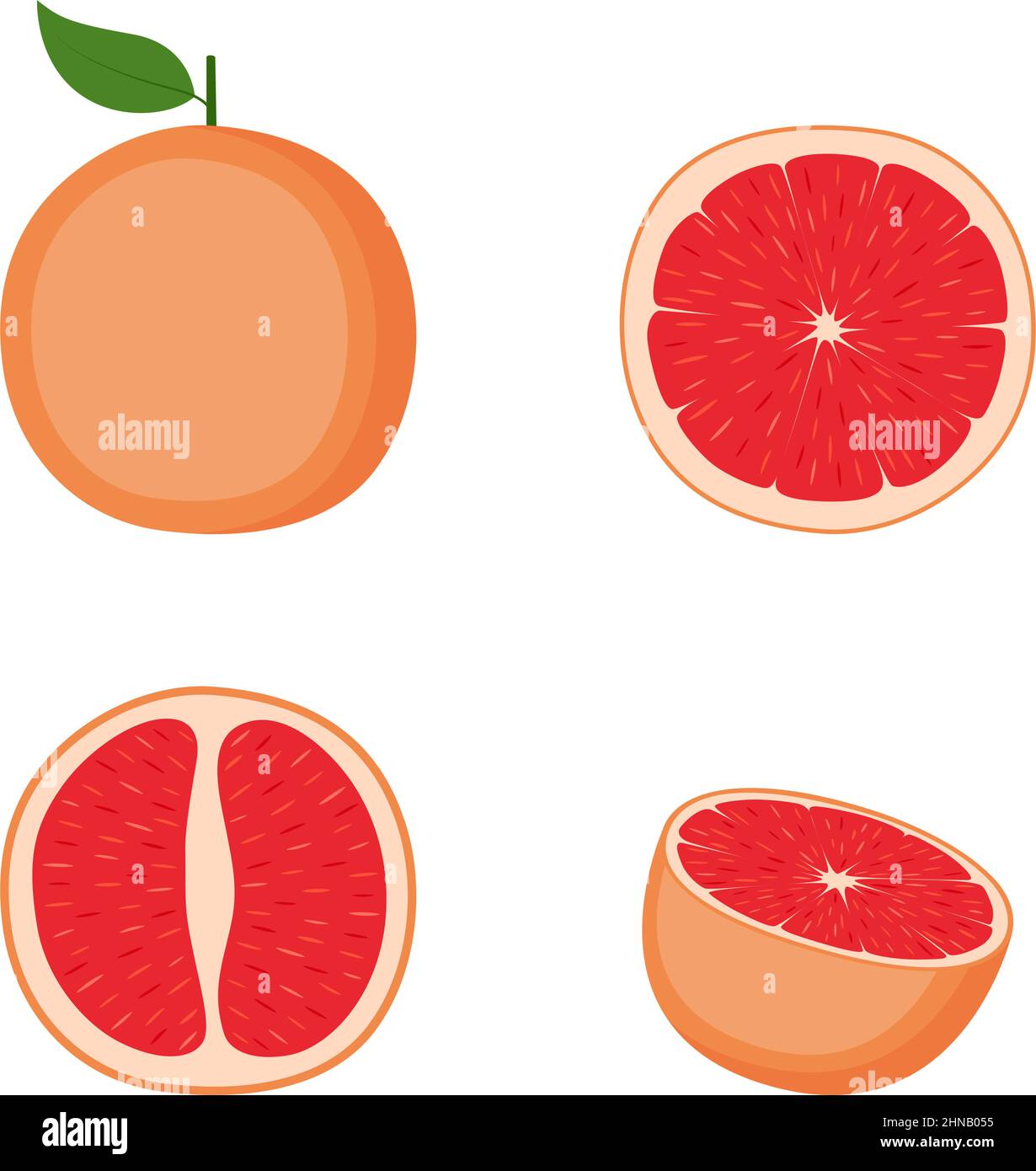 Grapefruit, whole fruit, half, slice, vector illustration Stock Vector Image & Art - Alamy