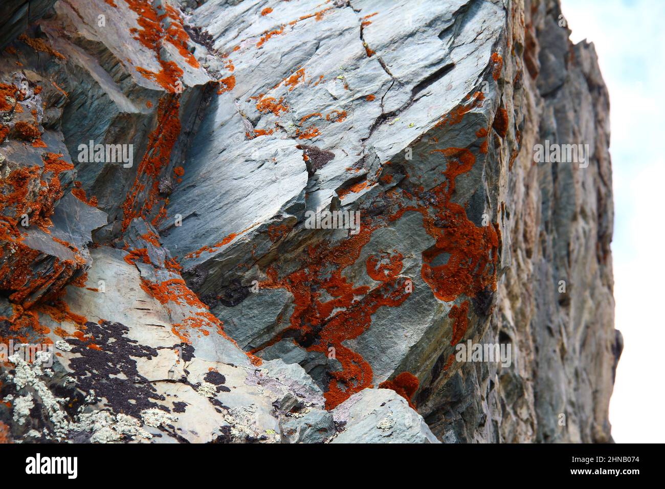 Layered stone texture of a rock with red lichen hi-res stock ...