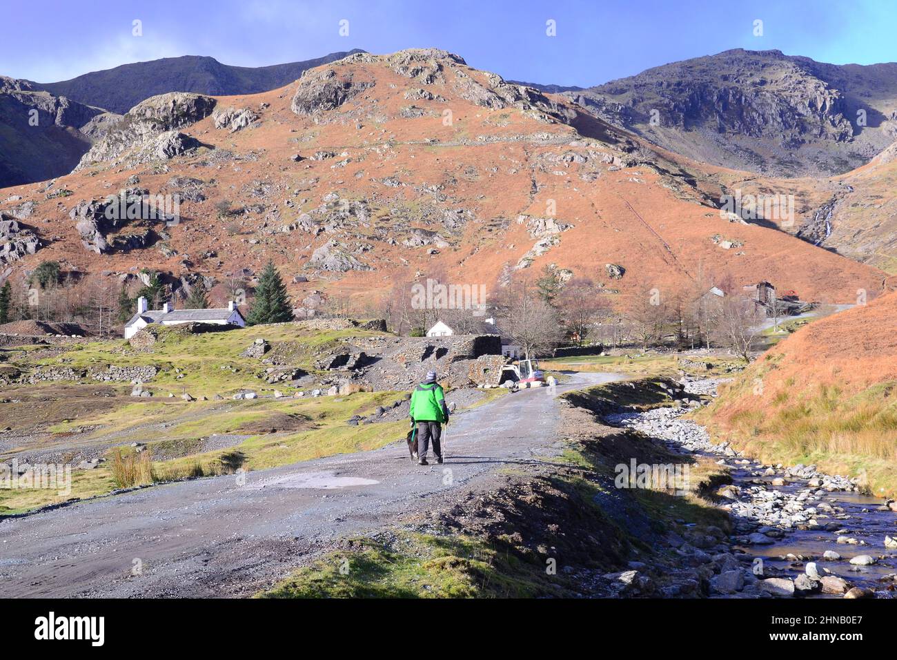 A man with a dog walk down a path of the mountain in the valley of ...