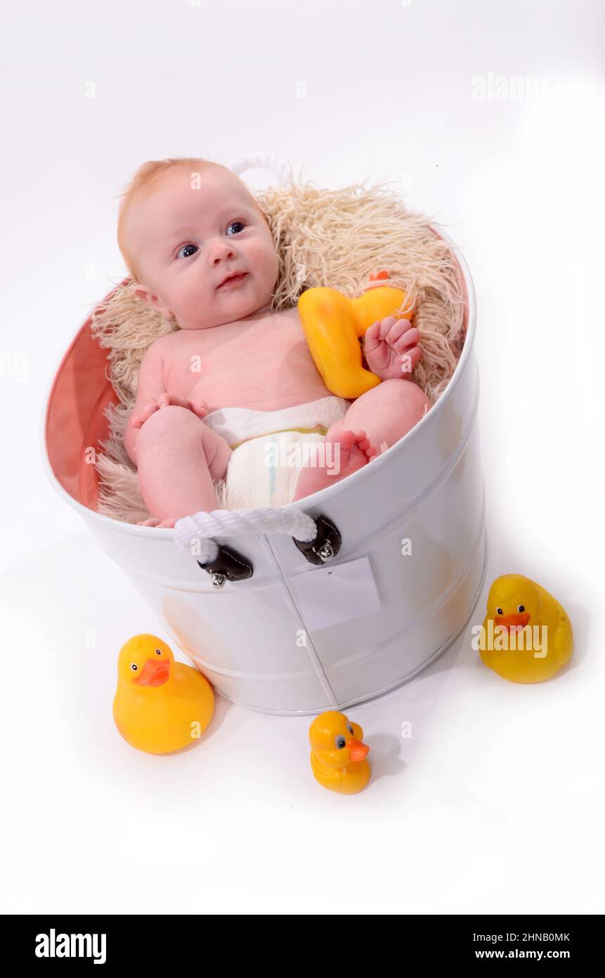 Infant ducks hi-res stock photography and images - Alamy