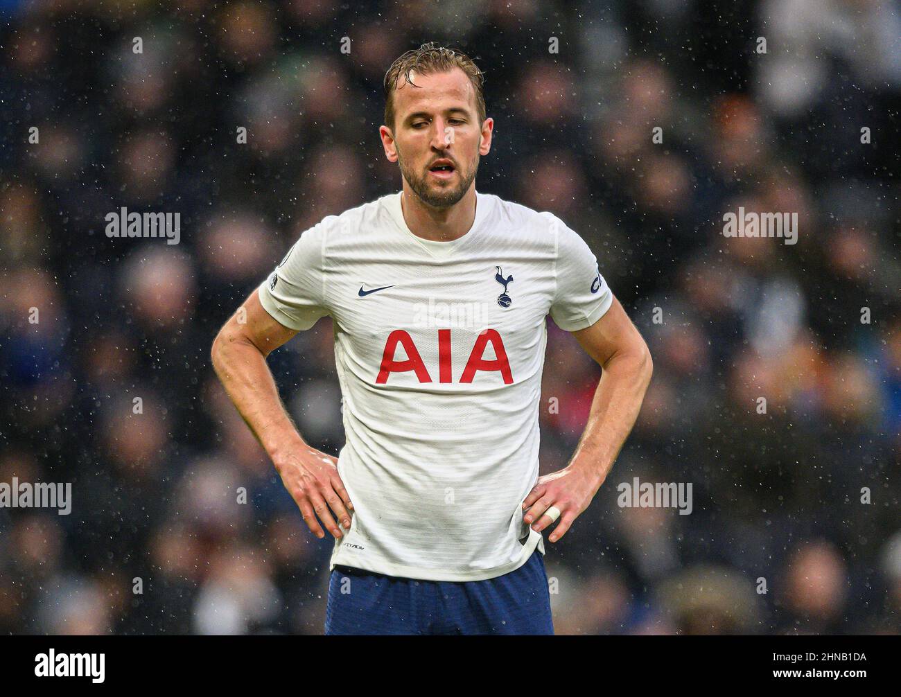 Harry kane 2022 wolves hi-res stock photography and images - Alamy