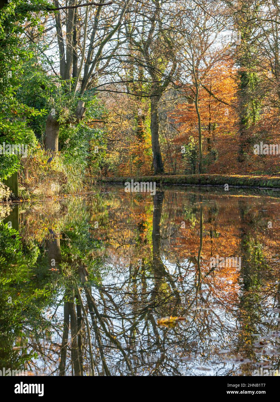 Autumn colours of the trees and their reflections in the Peak Forest ...