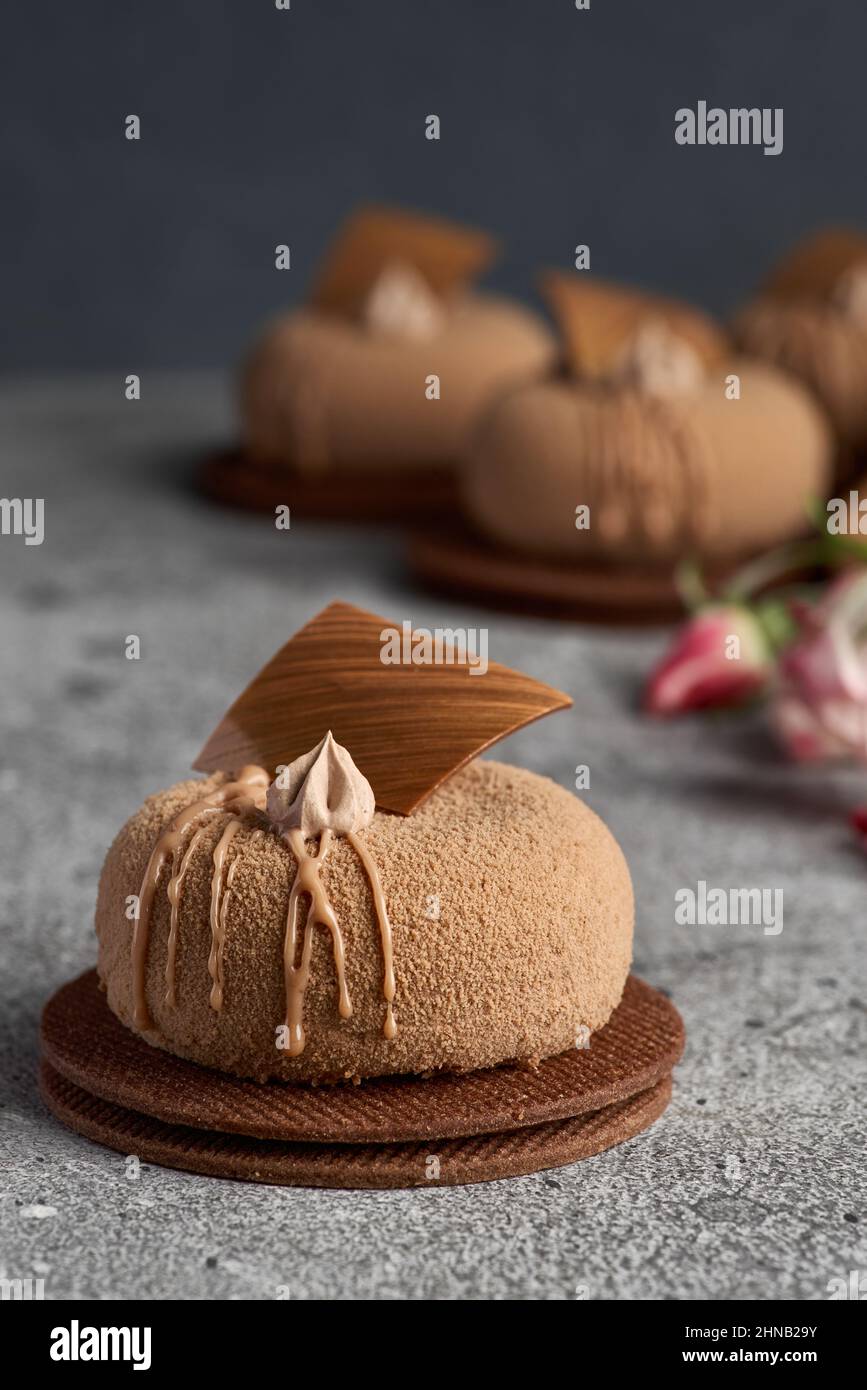 Mini mousse pastry dessert covered with chocolate velor on gray ...